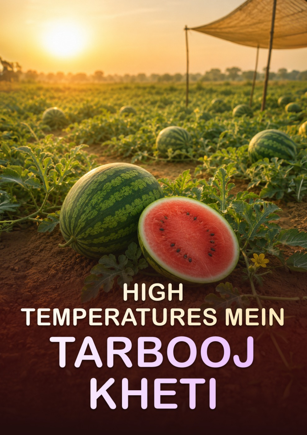 High Temperatures Mein Tarbooj Kheti | Krishi Manthan